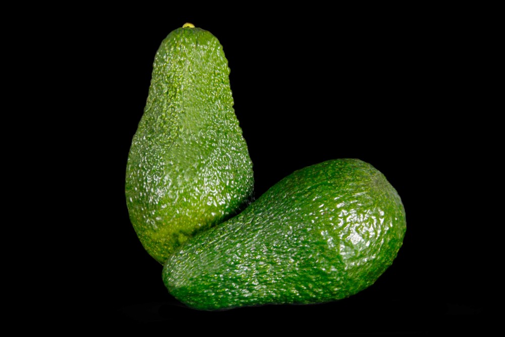Compra Fruta de Temporada | AGUACATE | FrutasNieves